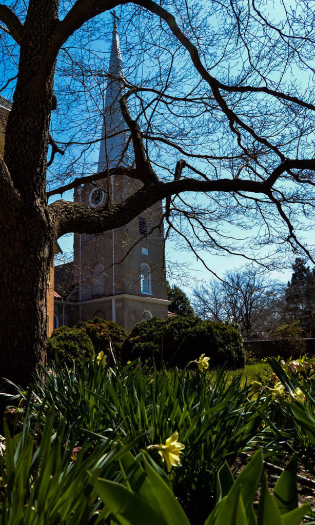 Spring Delights Over Northern Delaware - North DelaWHERE Happening